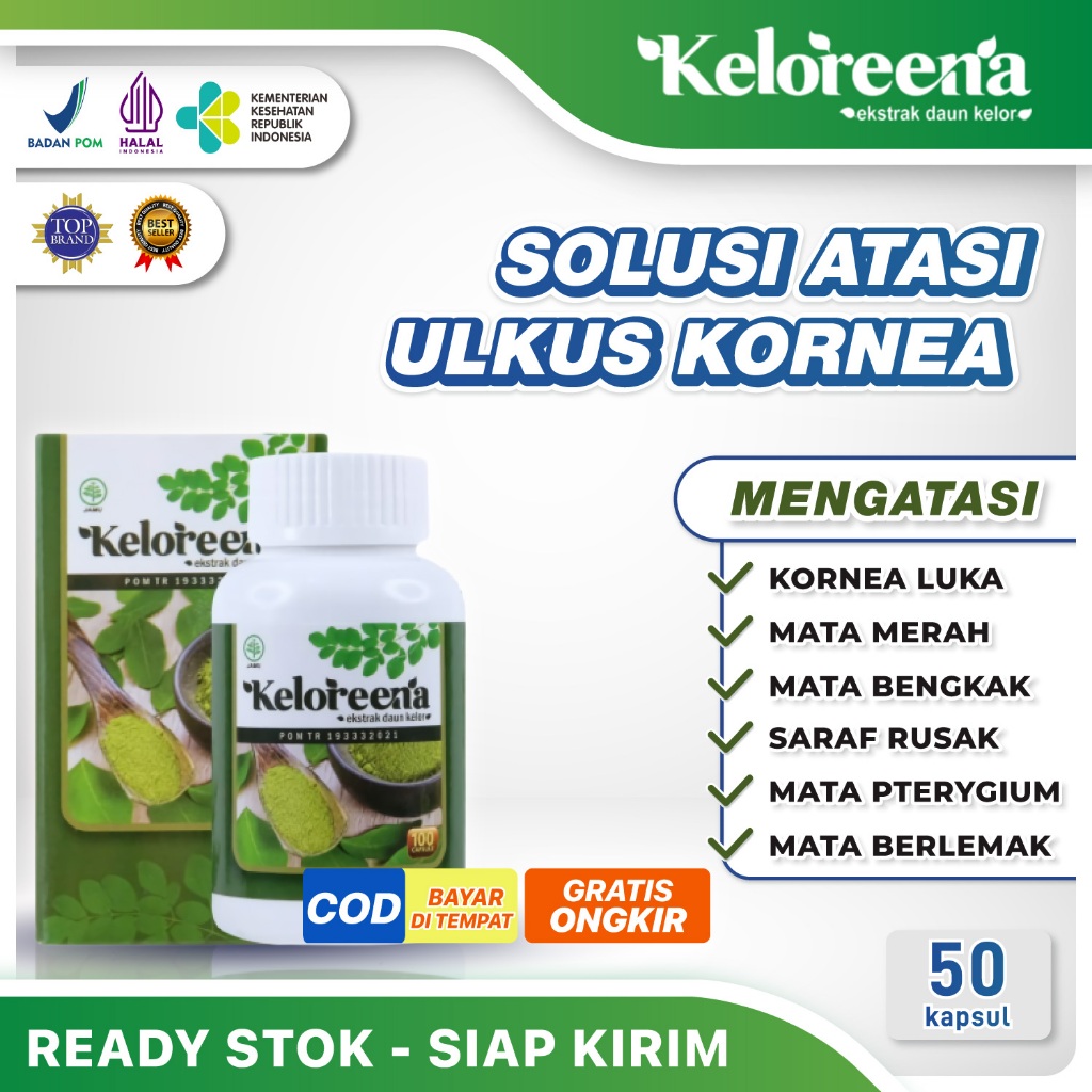 Jual Obat Bintik Putih Mata - Mata Pterigium - Mata Pinguekula - Ulkus ...