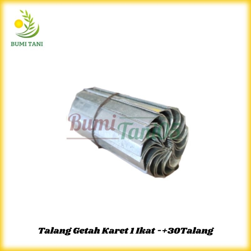 Jual Talang Sadap Karet 1 Ikat -+30 Pcs Talang Getah | Shopee Indonesia