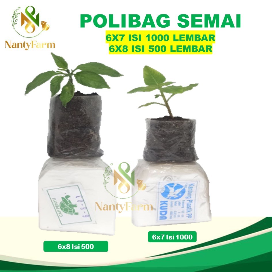 Jual Plastik Polybag Polibag Polibeg Semai Bibit Prmbibitan ukuran 6x7 ...