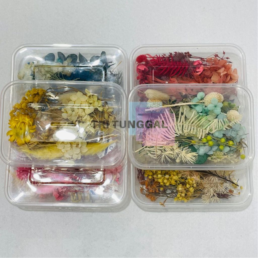 Jual Bunga Kering Aneka Macam Bunga Dried Flowers Warna Warni Wadah ...