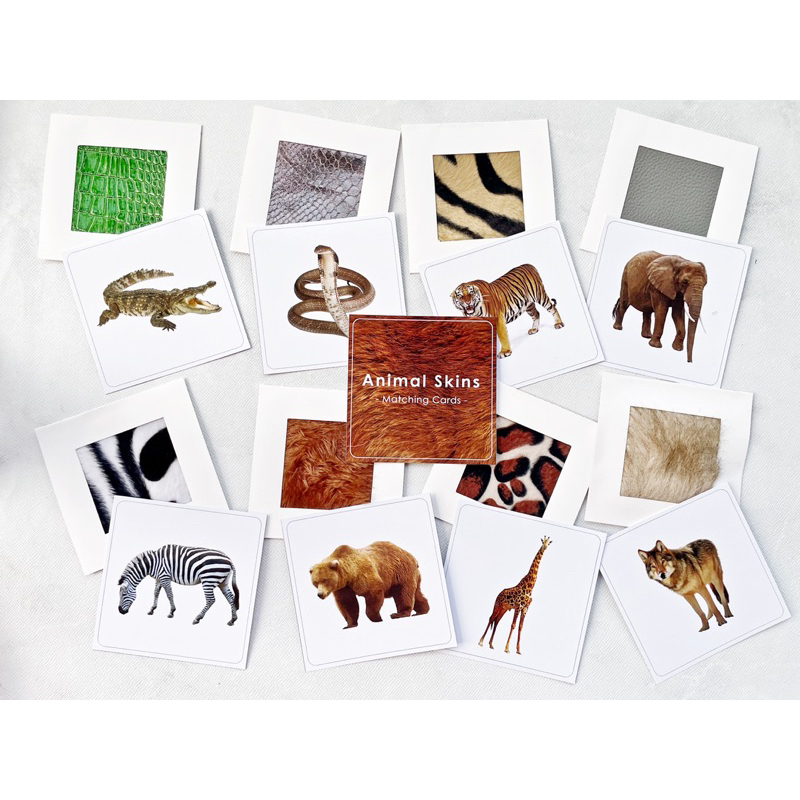 Jual LILOMILO Animal Skins Matching Cards/Mencocokkan tekstur kulit ...