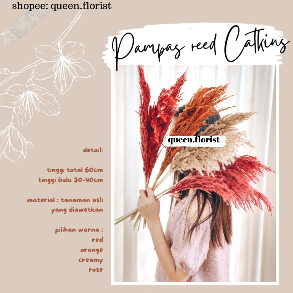 Jual 60CM PAMPAS REED CATKINS PAMPAS GRASS bulu dried flower dekorasi ...