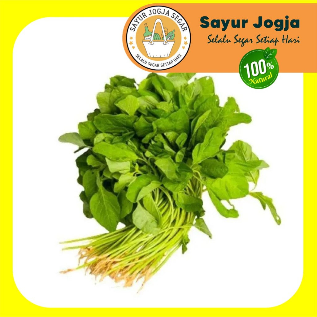 Jual BAYAM HIJAU SEGAR per ikat | Shopee Indonesia