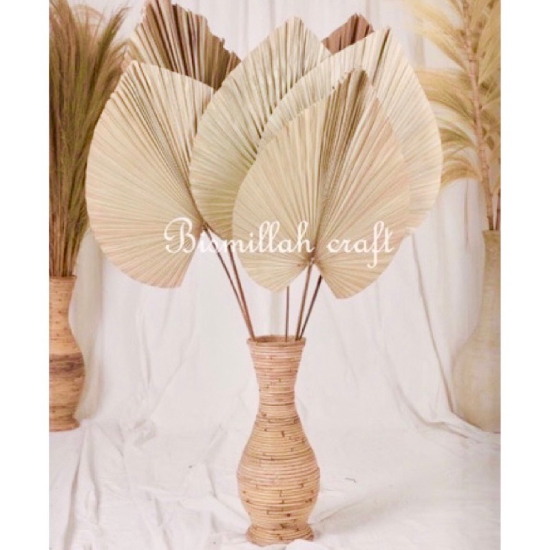 Jual DAUN PALEM KERING MURAH DRIED PALM DEKORASI PALEM RUSTIK | Shopee ...