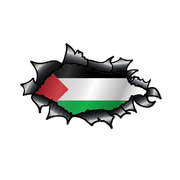 Jual Stiker/Sticker Mobil 3d Bendera Palestina | Shopee Indonesia