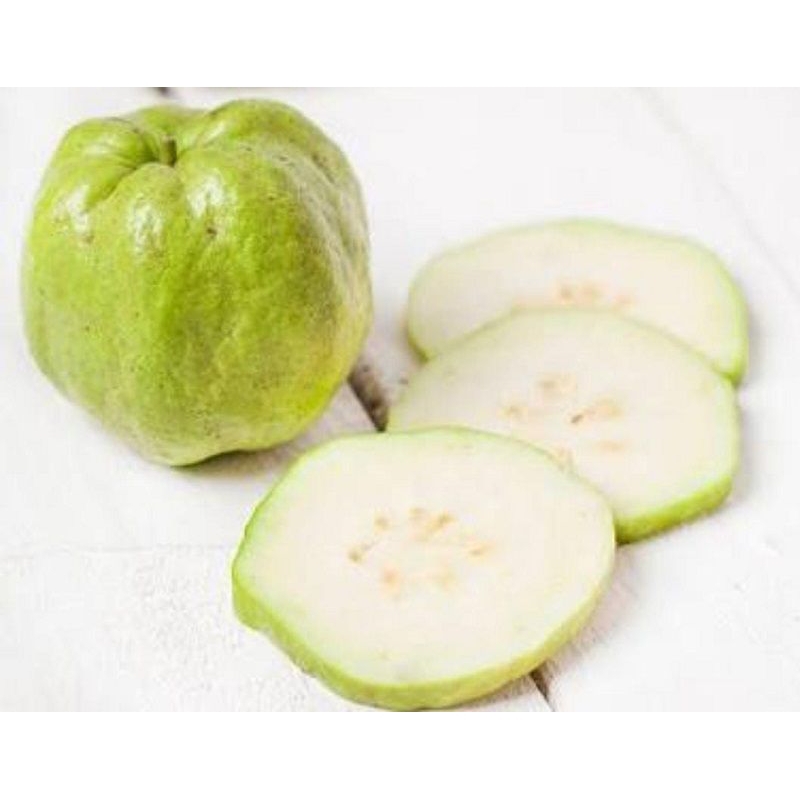 Jual Jambu kristal rujak 1kg | Shopee Indonesia