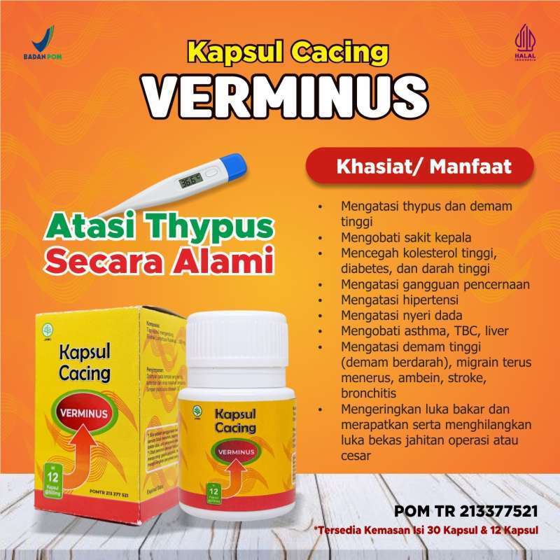 Jual Verminus Extrak Kapsul Cacing Obat Demam DBD Typus Isi 30 Kapsul ...