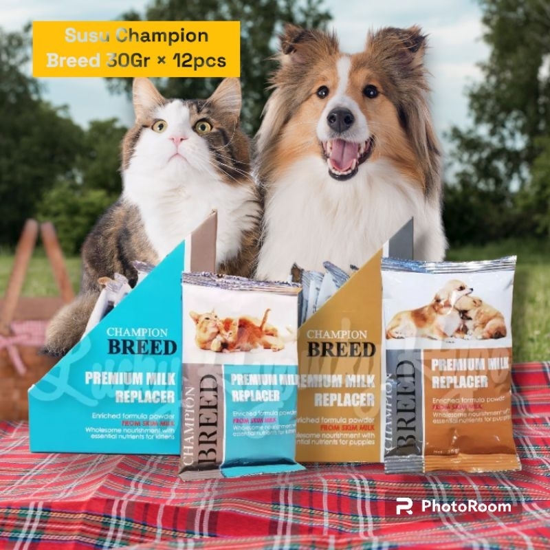 Jual Paket 1 Box (12 Sachet @ 30 g) Champion Breed (Premium Milk ...