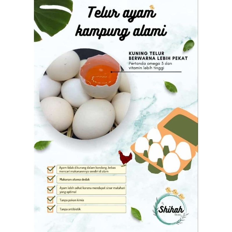 Jual Telur ayam kampung omega alami | Shopee Indonesia