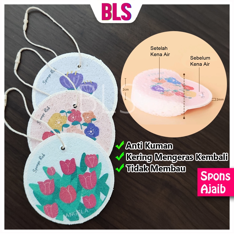 Jual Spons Busa Magic Cuci Piring Compressed Washing Sponge | Shopee ...