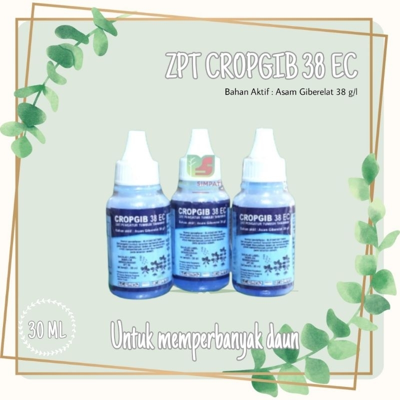 Jual CROPGIB 38 EC Zat Pengatur Tumbuh Tanaman | Shopee Indonesia