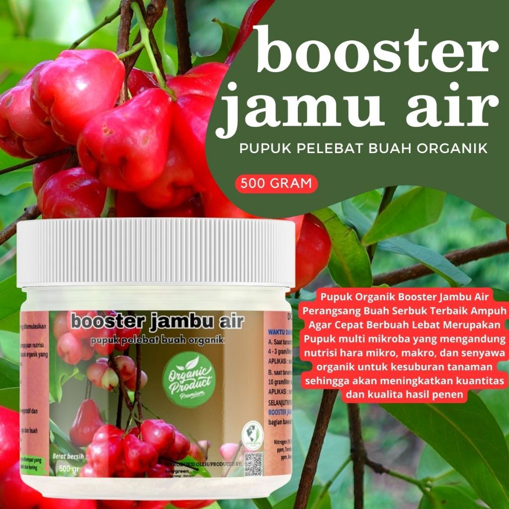 Jual Pupuk Booster Organik Pelebat Buah Jambu Air 500gr Dan Perangsang Agar Cepat Berbuah ...
