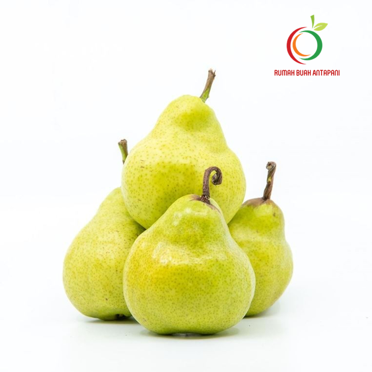 Jual pear packham hijau /pir jambu 500 gram | Shopee Indonesia