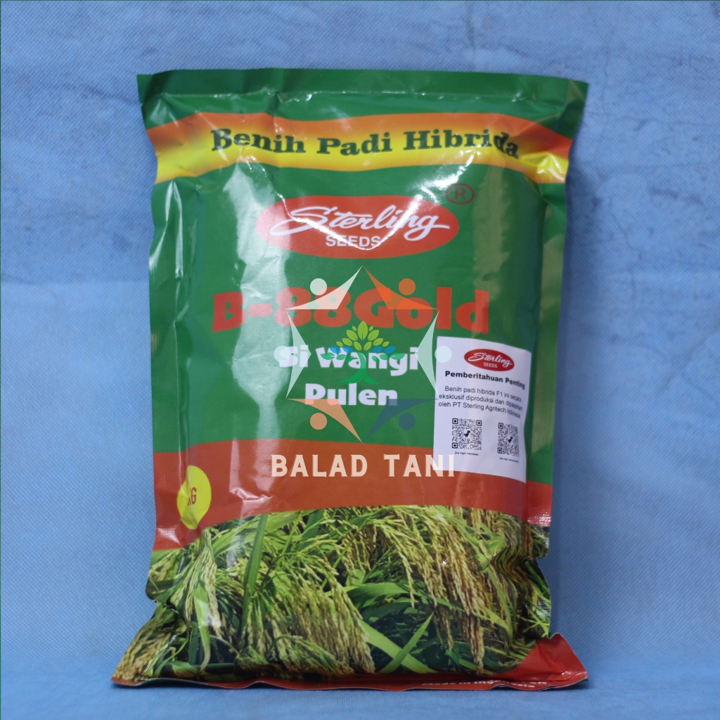 Jual Benih Padi Hibrida 1Kg B-88 Gold Sterling Seeds Si Wangi Pulen ...