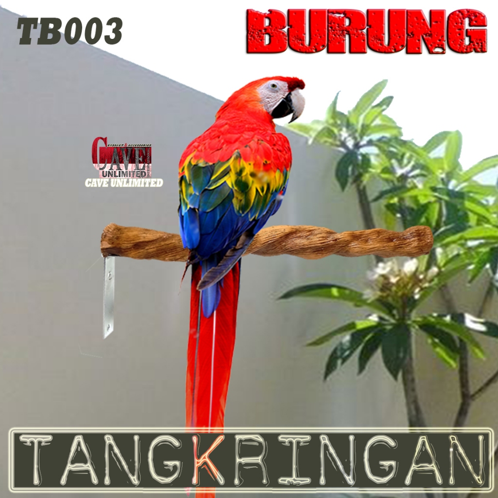 Jual TB003 TANGKRINGAN BURUNG TEMPEL DINDING KAYU RESIN PANGKRINGAN PARROT PARKIT MACAW ...
