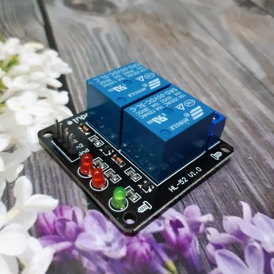 Jual Relay Module 2 Ch Low Level Trigger 5V Tanpa Optocoupler High ...