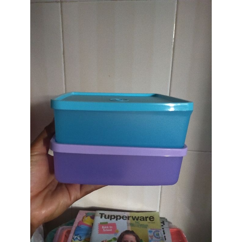 Jual LARGE SQUARE TUPPERWARE 660ML | Shopee Indonesia