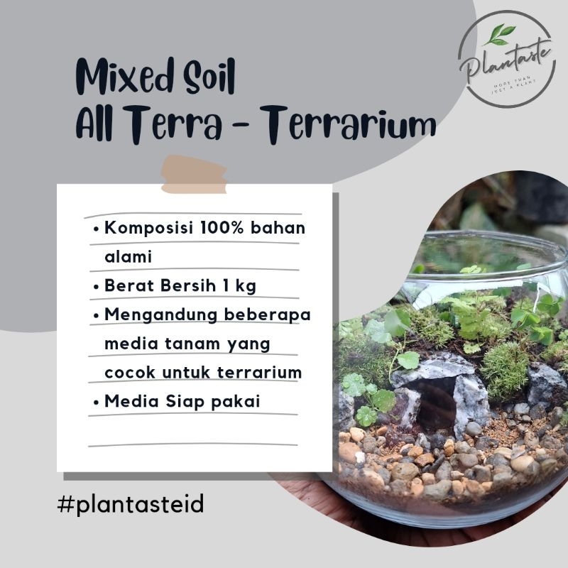 Jual Mixed Soil - All Terra | Terrarium | Media Tanam Siap Pakai - Media Tanam Terrarium - 1 kg ...