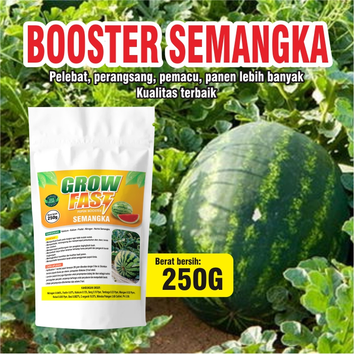 Jual Pupuk Booster Semangka (250gr) I pupuk organik pelebat tanaman I pupuk organik perangsang ...