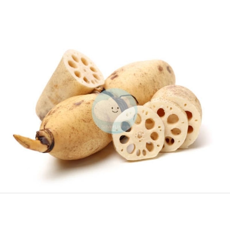Jual LOTUS ROOT / AKAR TERATAI | Shopee Indonesia