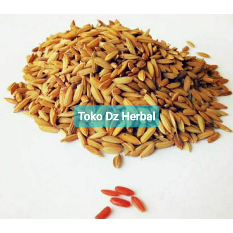 Jual Benih padi beras merah unggul 1 kg | Shopee Indonesia