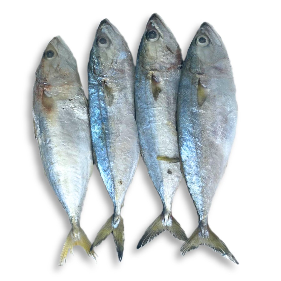 Jual Ikan Kembung Banjar 500gr | Shopee Indonesia