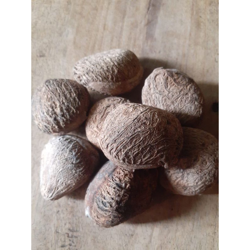 Jual Kluwek kluwak buah pucung jawa siap konsumsi | Shopee Indonesia