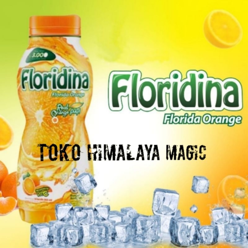 Jual Floridina Jeruk 1 pak 12 botol x 350 ML | Shopee Indonesia