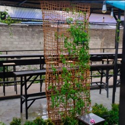 Jual media tanaman rambat vertikal - cocomesh - rambatan tali sabut ...