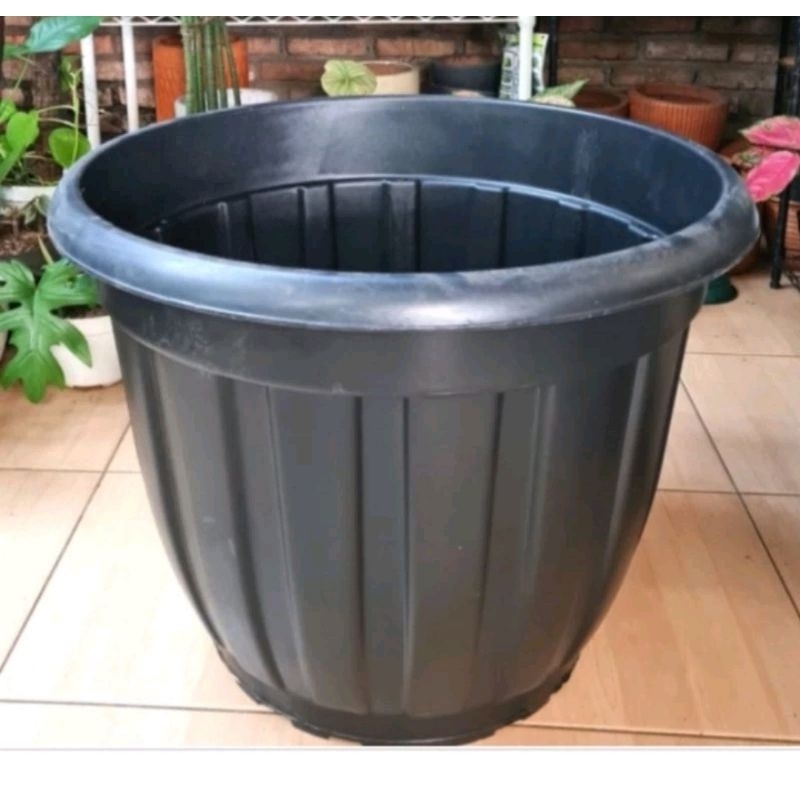 Jual GLORY: Pot Jumbo ukuran 70 Cm / Pot Bunga Tanaman Besar Gloria ...