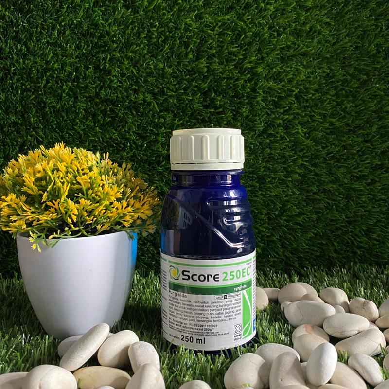 Jual Score 250EC 250ml - Fungisida | Shopee Indonesia