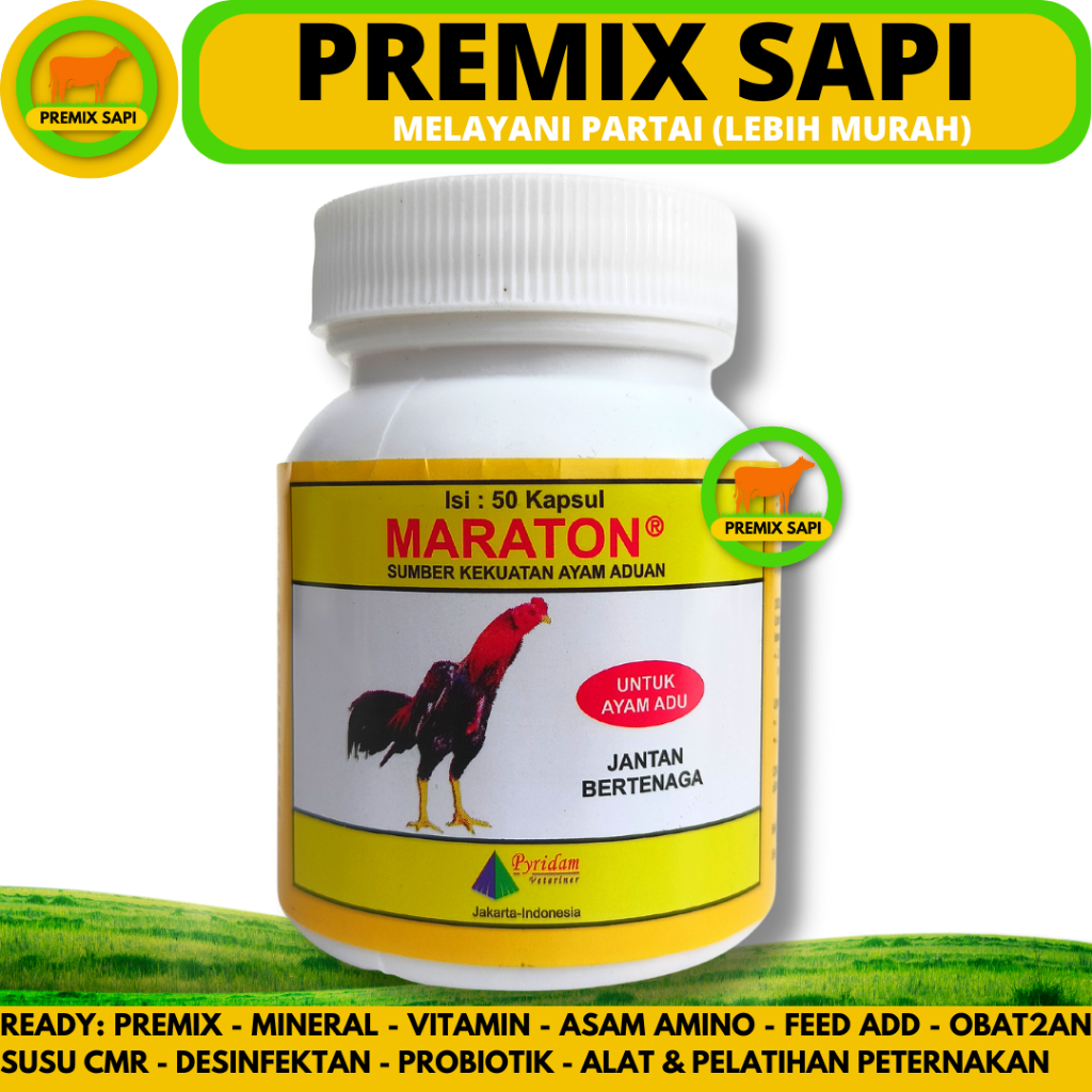Jual MARATON 50 Kapsul Suplemen Ayam Aduan Biangnya Ayam Jantan Perkasa ...