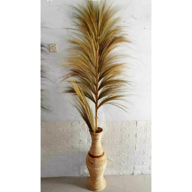 Jual Pampas Rayung 2m | rayung stik | pampas stik | bunga dekorasi ...