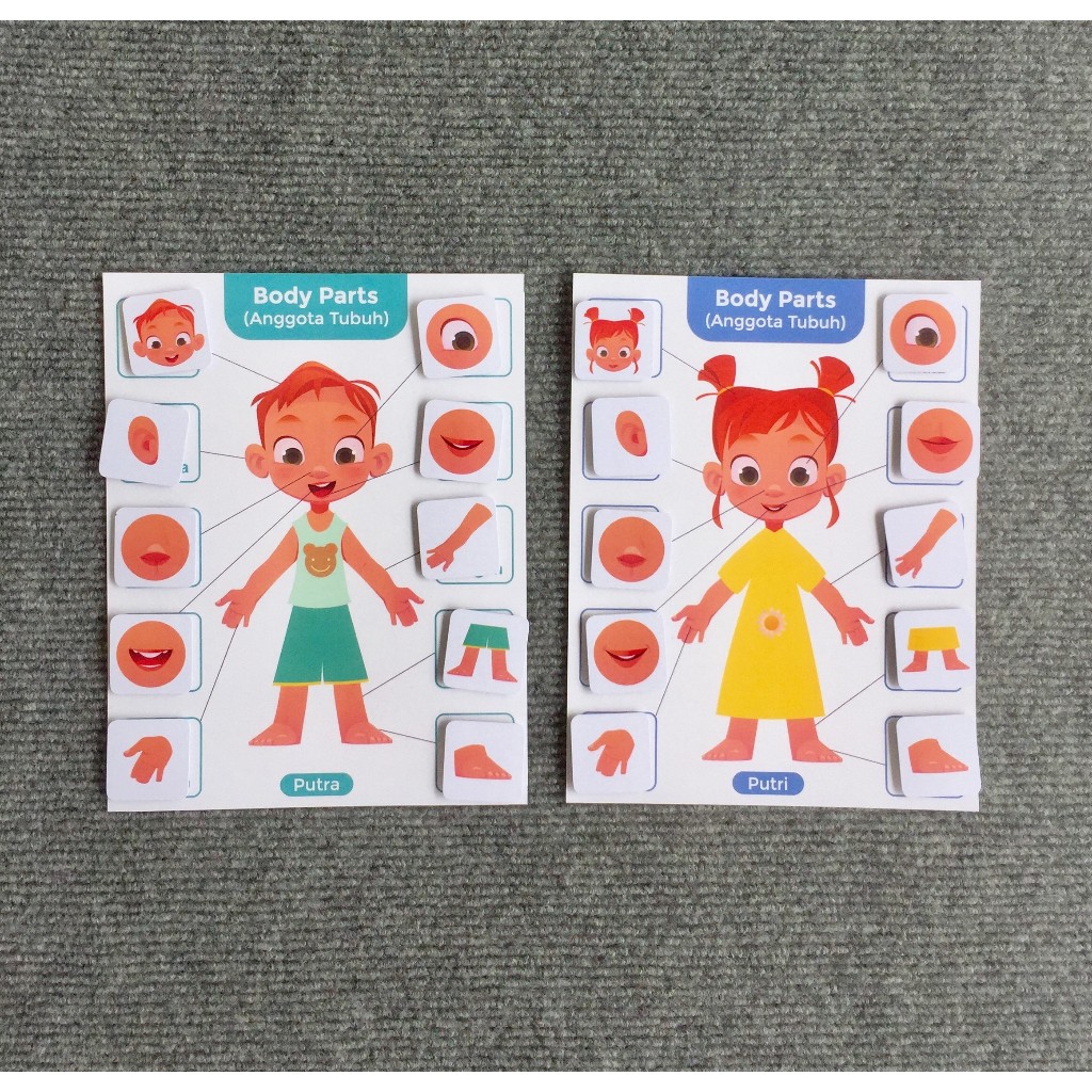 Jual Body Parts Busy Page Mainan Edukasi Anak untuk Mengenal Anggota ...