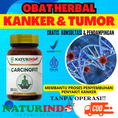 Jual Obat Herbal Kanker Tumor Benjolan Payudara Tumor Payudara Kanker ...