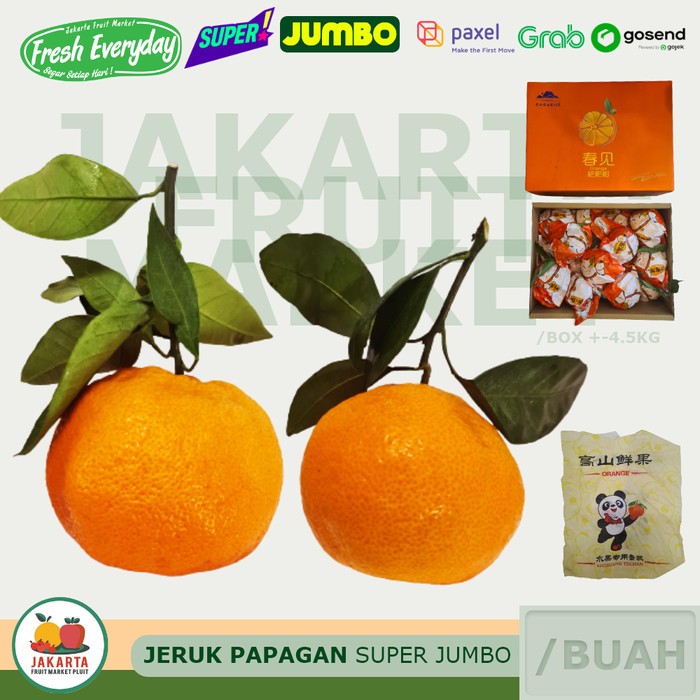 Jual BUAH JERUK PAPAGAN / DEKOPON SUPER JUMBO SWEET JUICY ORANGE kiloan ...