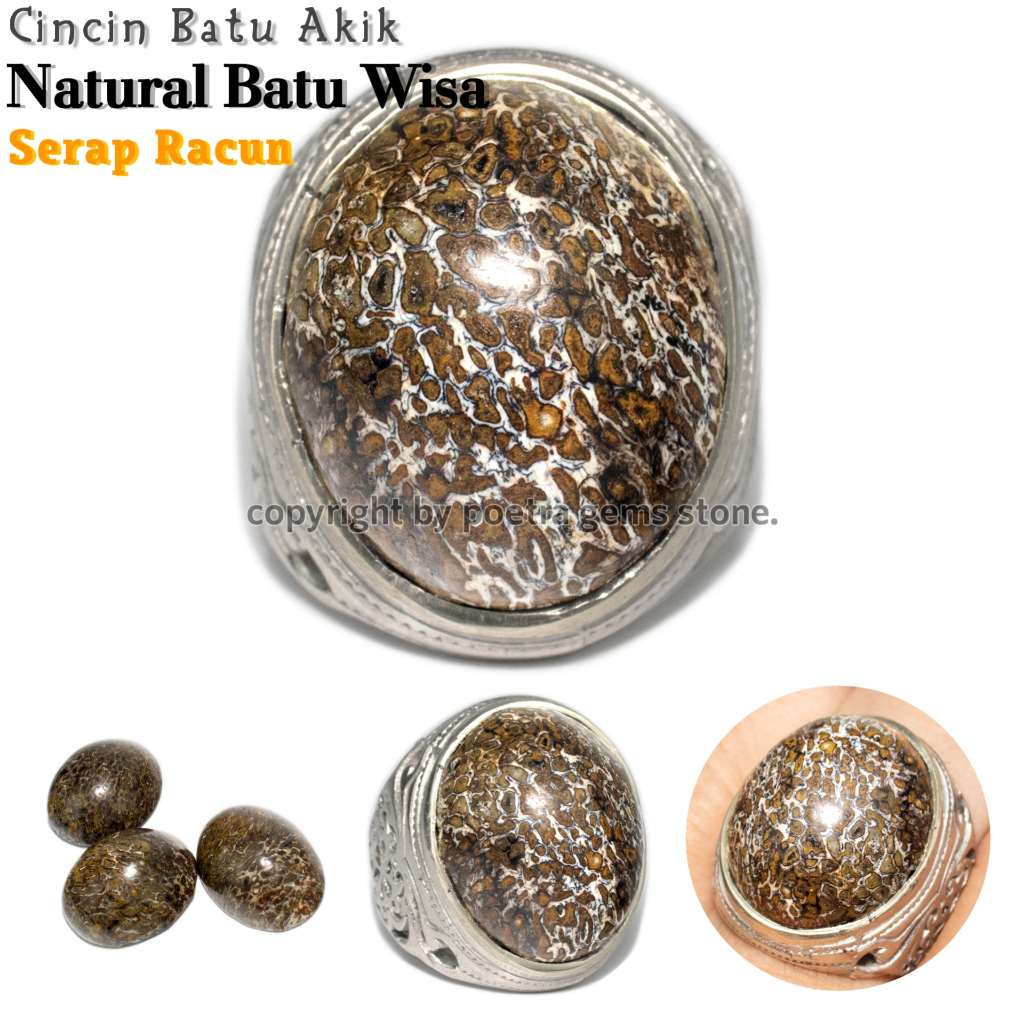 Jual Natural Cincin Batu Akik Anti Wisa Serap Racun | Shopee Indonesia
