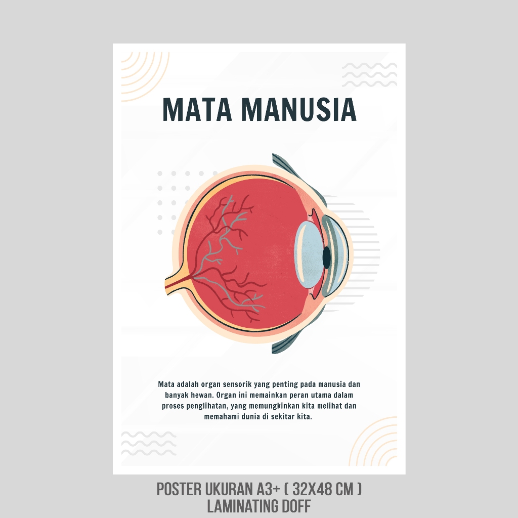 Jual Poster Edukasi Kesehatan Mata Manusia | Shopee Indonesia