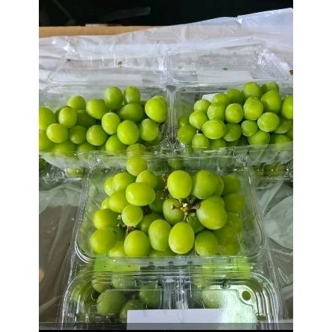 Jual Anggur Muscat Ijo Perdus | Shopee Indonesia