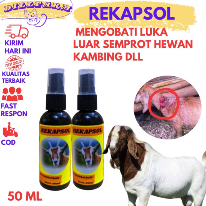 Jual Obat Hewan SCABIES,Koreng Luka,Exsim Pada Kambing Dan Domba 50ml ...