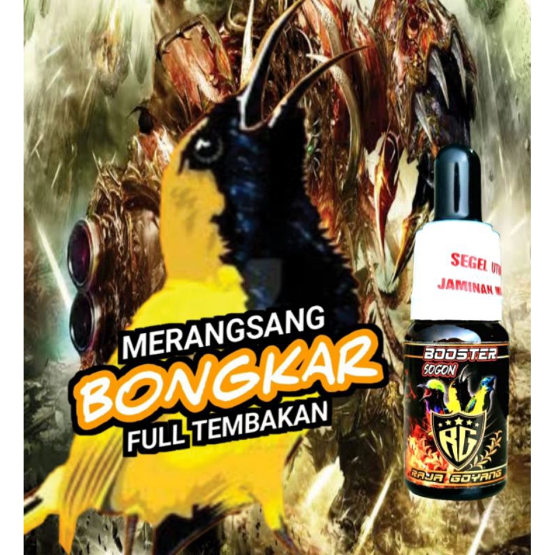 Jual VITAMIN SOGON/booster sogon & konin/doping sogon /doping konin ...