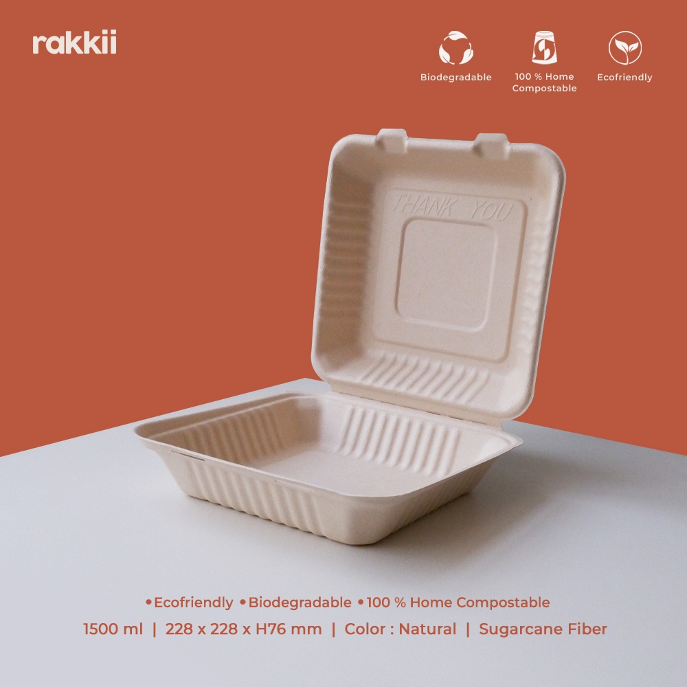 Jual Bagasse Kotak Makan Lunch Box Korea Cake Bento Party 1500ml 9 Inch 10 pcs | Shopee Indonesia