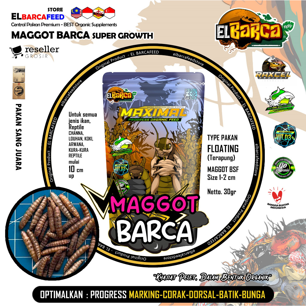 Jual MAGGOT BARCA Maggot BSF Kering Xtra Spirulina feed grade pakan ...