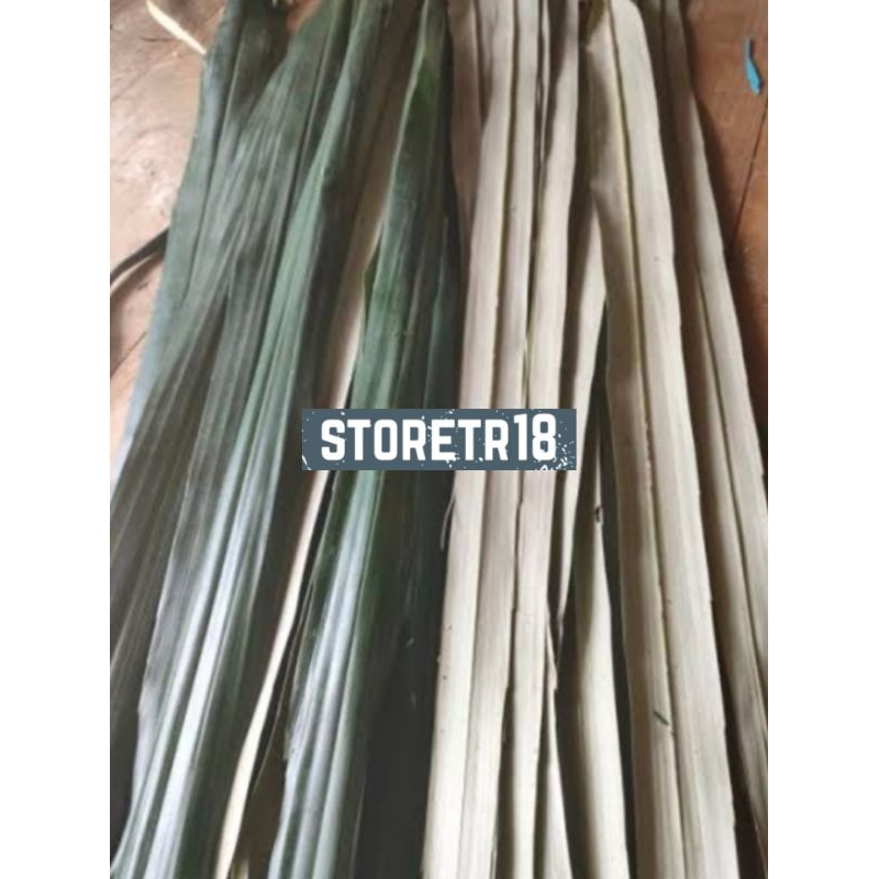 Jual Daun Pohon Aren Segar Per 500 Gram | Shopee Indonesia
