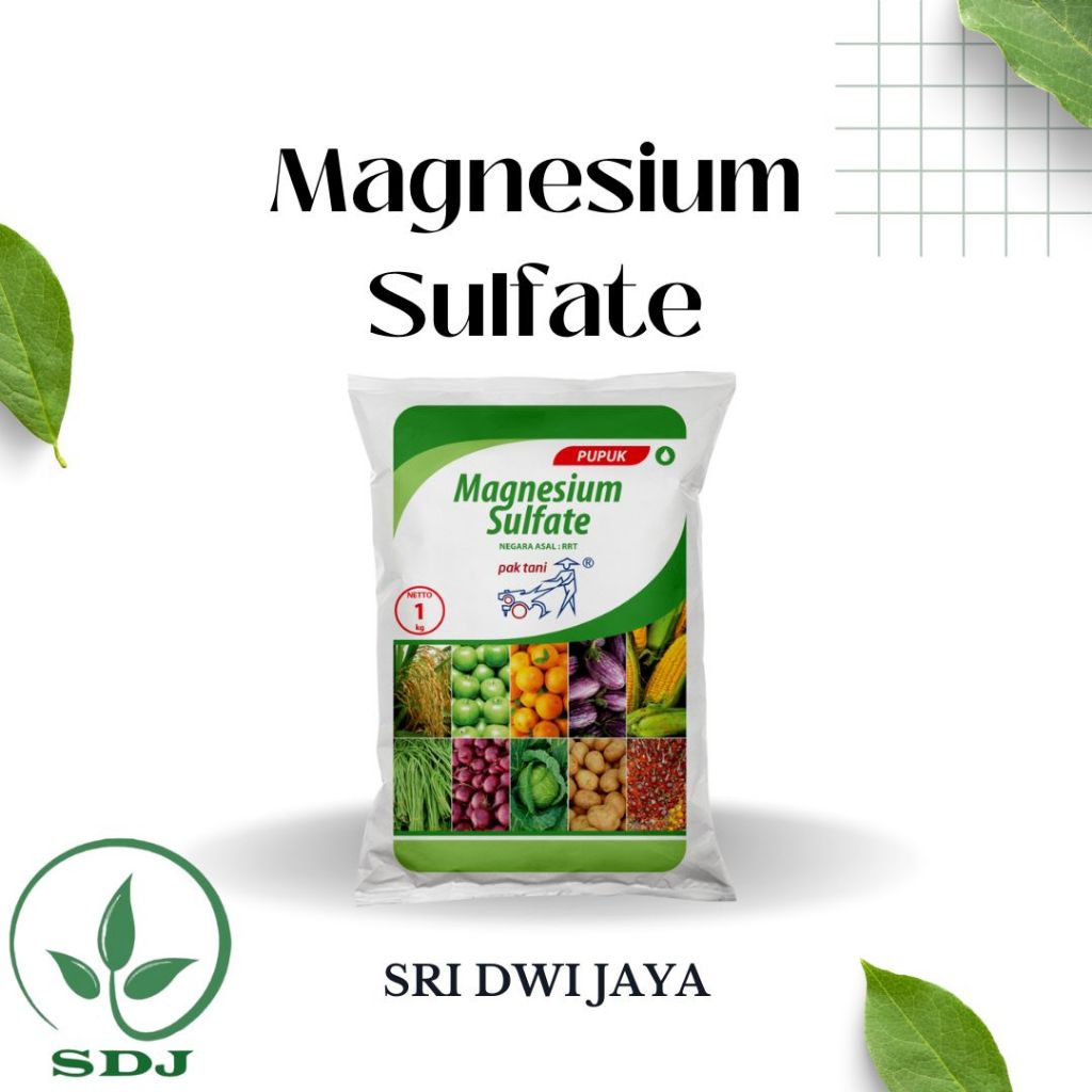 Jual Magnesium Sulfate 1kg | Shopee Indonesia