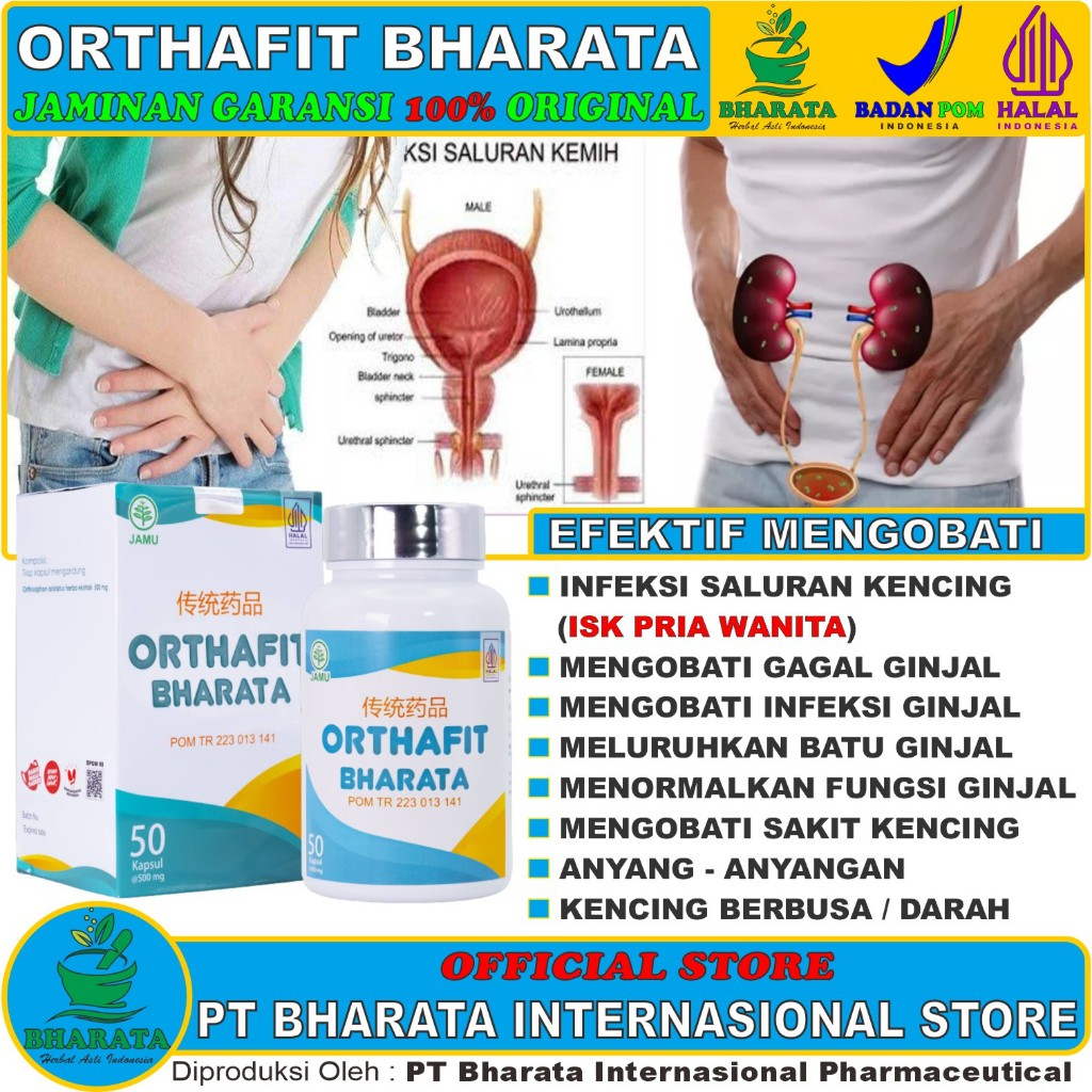 Jual ORIGINAL ORTHAFIT BHARATA | Obat Infeksi Saluran Kencing / Kemih / ISK - Obat Ginjal Ampuh ...