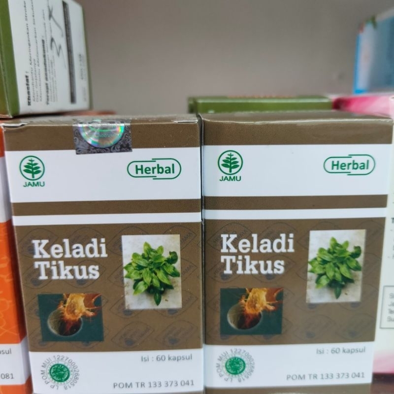 Jual KAPSUL HIU KELADI TIKUS Original | Shopee Indonesia