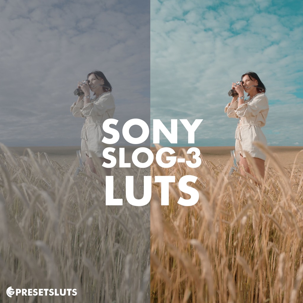 Jual SONY SLOG 3 LUTS - SKINTONE EDITION ADOBE PREMIERE DAVINCI RESOLVE ...