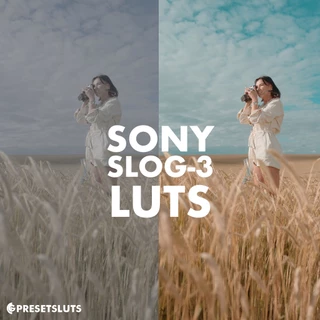 Produk Gudang Presets Luts | Shopee Indonesia