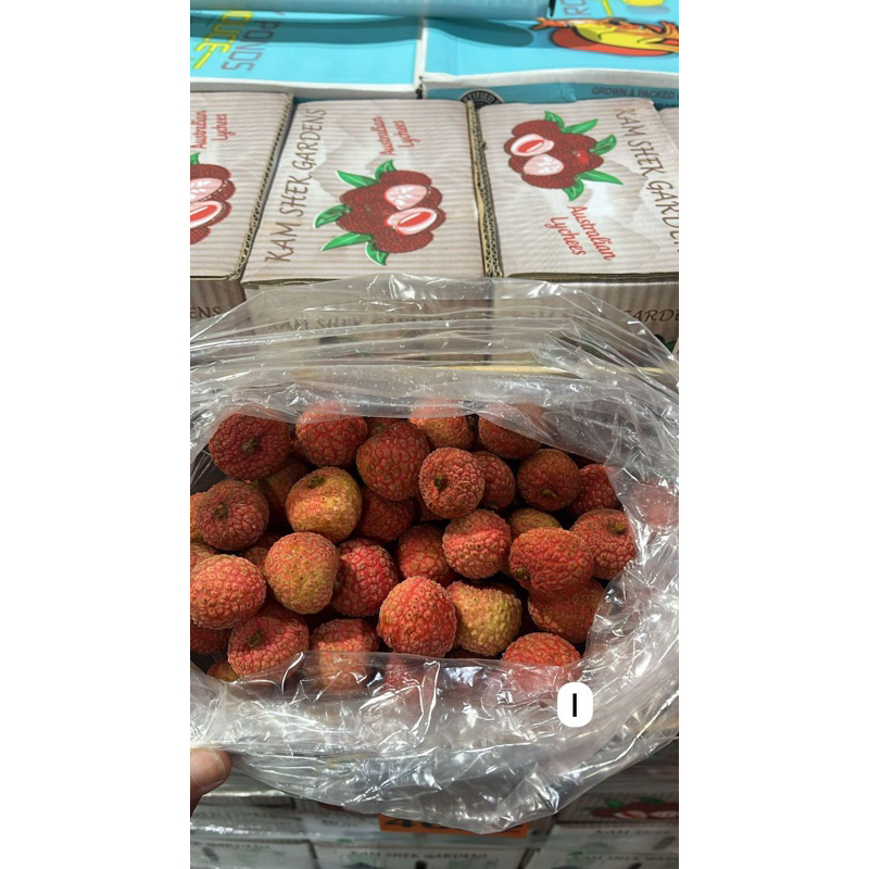 Jual AUSTRALIAN LYCHEE 🇦🇺 | Shopee Indonesia